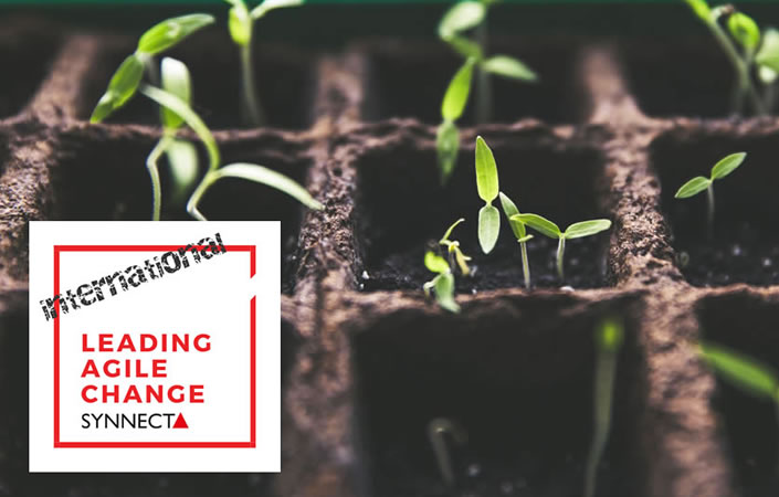 Leading Agile Change - Competencies for the Agile Change Leader